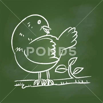 Hand drawing Bird on Green board -Vector illustration ~ Clip Art #78973123