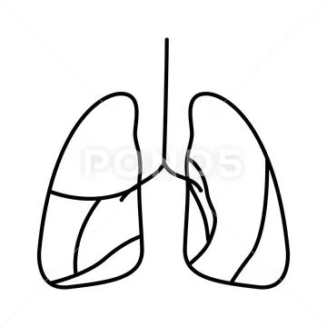 Hand drawing contour respiratory system Illustration #105412484