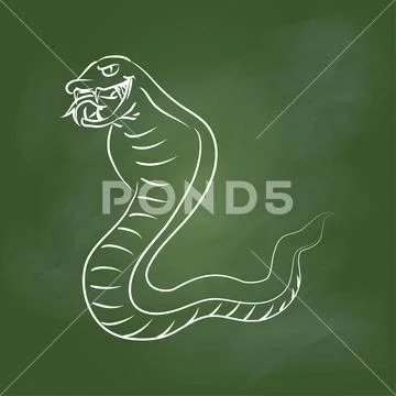 Hand drawing snake on Green board -Vector illustration: Graphic #76495217