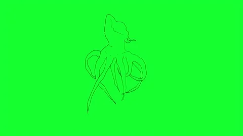 Octopus Green Screen Stock Footage ~ Royalty Free Stock Videos | Pond5
