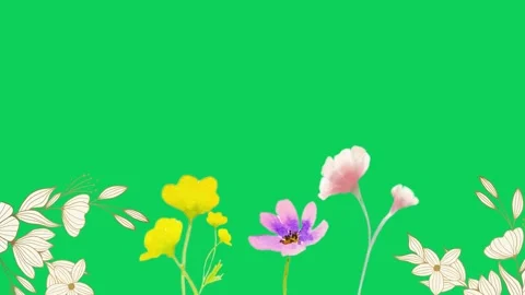 Floral Border Wallpaper Stock Videos – Royalty-Free HD & 4K Videos | Pond5