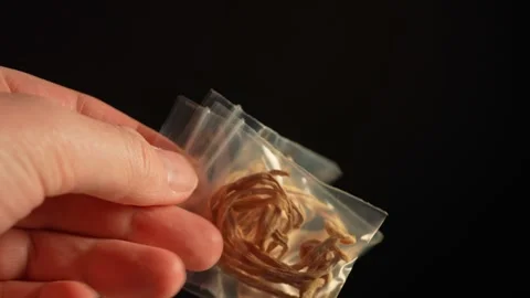 Off The Show Stock Videos – Royalty-Free HD & 4K Videos | Pond5