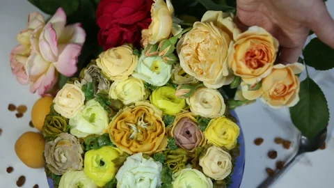 And Live Shows Stock Videos – Royalty-Free HD & 4K Videos