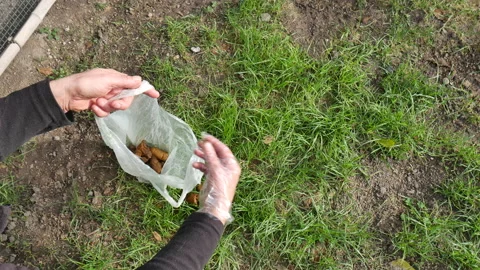 Girl Poopig Stock Videos – Royalty-Free HD & 4K Videos