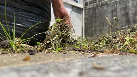 Hand grab dry weeds grass from ground an... | Stock Video | Pond5