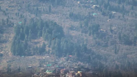 Hand held shot of an eagle flying in the... | Stock Video | Pond5