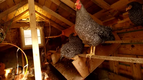 Free Build Stock Videos – Royalty-Free HD & 4K Videos