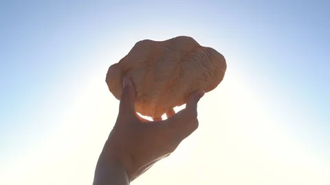 Hand holding big sea shell and covering ... | Stock Video | Pond5