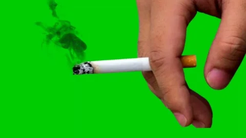 Cigarette Green Screen Stock Footage ~ Royalty Free Stock Videos | Pond5
