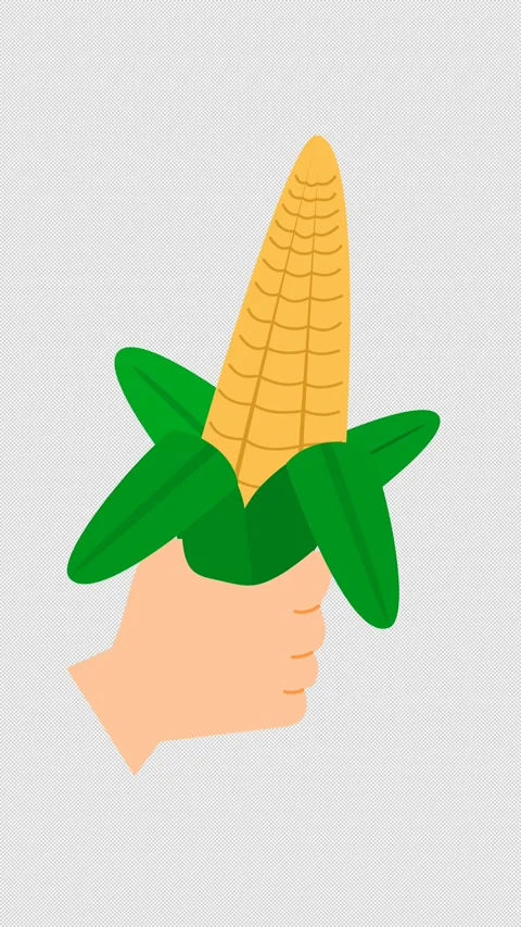 Corn Plant Cartoon Stock Videos – Royalty-Free HD & 4K Videos