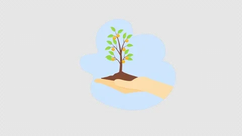 Seed Growing Tree Animation Stock Videos – Royalty-Free HD & 4K Videos ...