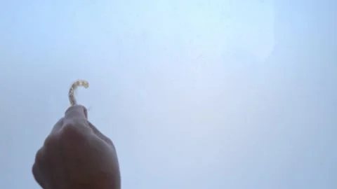 T Frozen Lettering Stock Videos – Royalty-Free HD & 4K Videos | Pond5