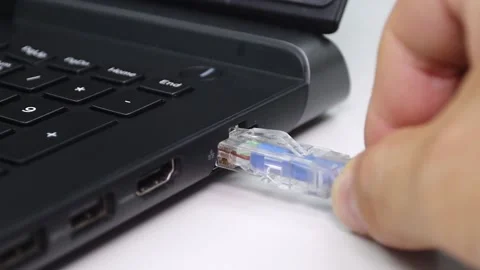 Lan Connection Stock Videos – Royalty-Free HD & 4K Videos | Pond5