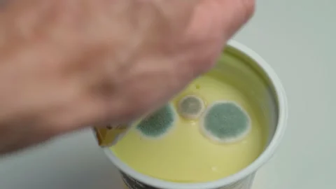 Protein Yoghurt Stock Videos – Royalty-Free HD & 4K Videos