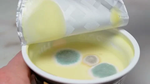 Protein Yoghurt Stock Videos – Royalty-Free HD & 4K Videos