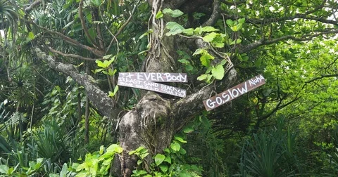 Hot Warning Sign Stock Videos – Royalty-Free HD & 4K Videos | Page 5