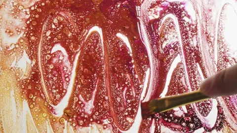 Picture Of Microso Stock Videos – Royalty-Free HD & 4K Videos