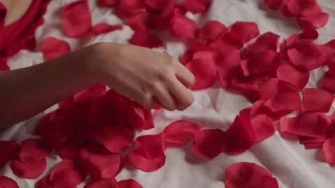 Hand Picking Up Rose Petals Off Bed | Stock Video | Pond5