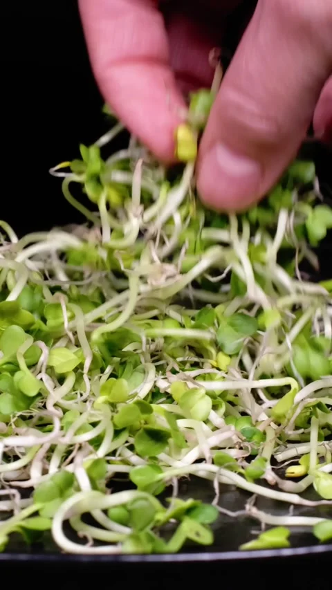 Let Hand Up Stock Videos – Royalty-Free HD & 4K Videos | Pond5