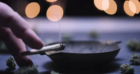 Lit Hand Stock Videos – Royalty-Free HD & 4K Videos | Pond5