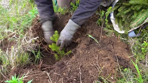 Hand Drilling Machine Stock Videos – Royalty-Free HD & 4K Videos