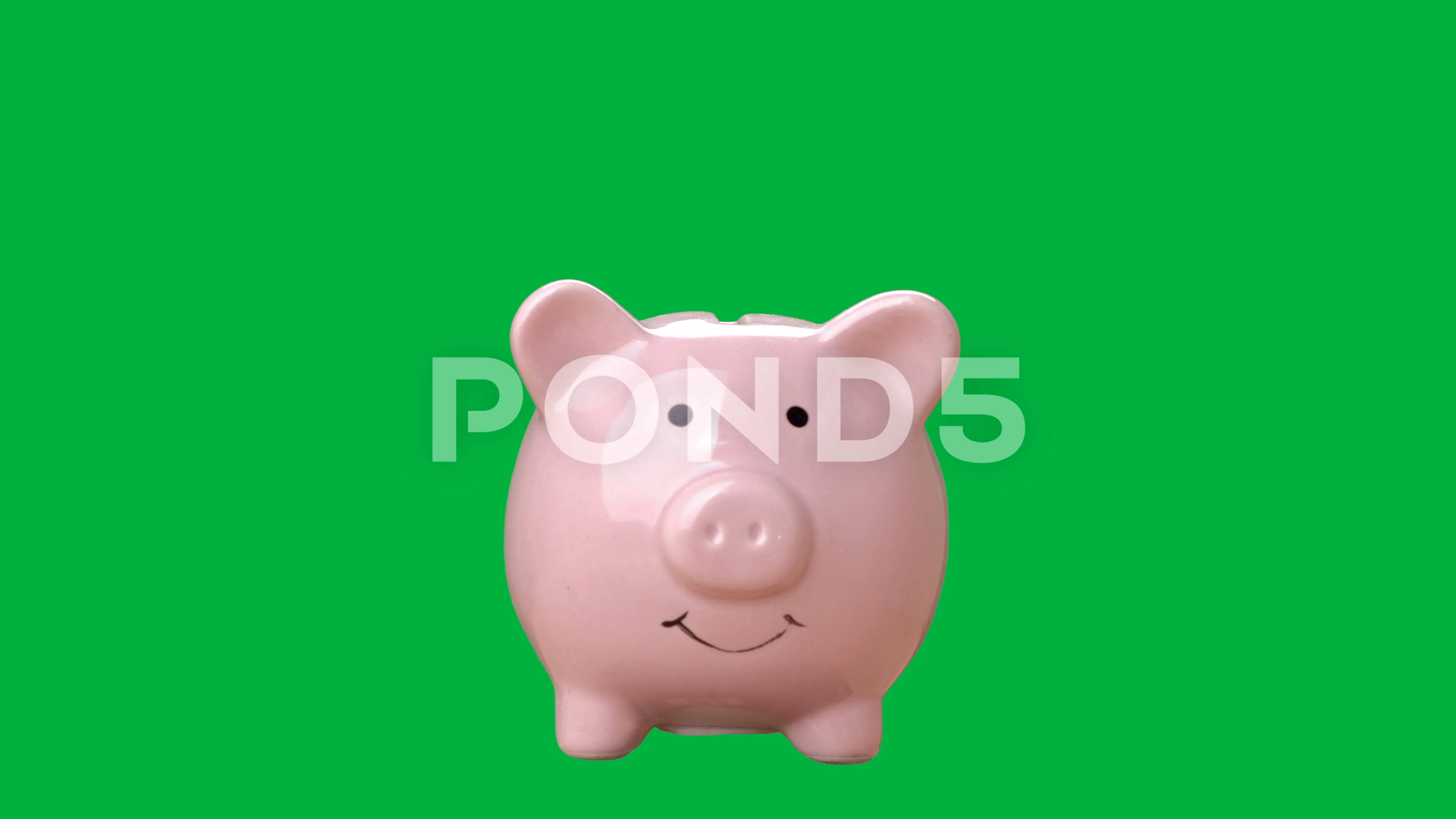 Green Piggy Bank Money