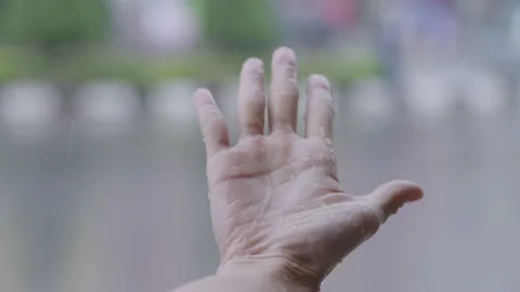 Human Arm Reaching