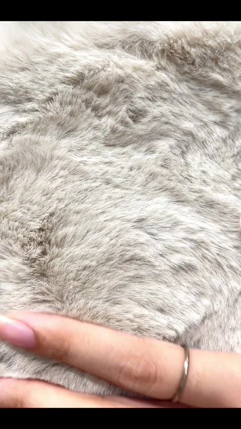 Rubbing Fur Coat Stock Videos – Royalty-Free HD & 4K Videos | Pond5