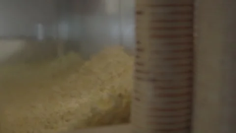 Scoop Movie Stock Videos – Royalty-Free HD & 4K Videos