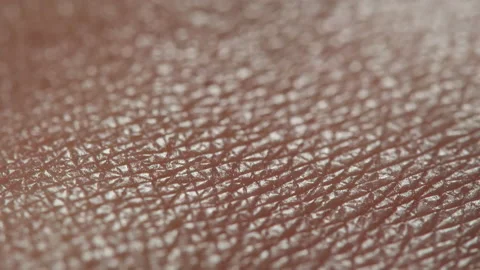 Hand skin texture close-up. Arm surface ... | Stock Video | Pond5