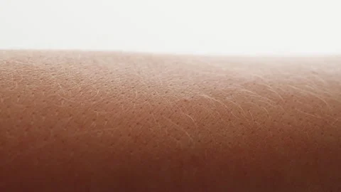 Hand skin texture close-up. Arm surface ... | Stock Video | Pond5