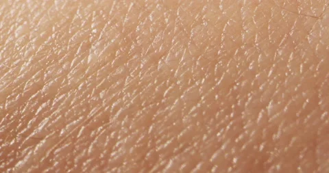 Hand skin texture close-up. Arm surface ... | Stock Video | Pond5
