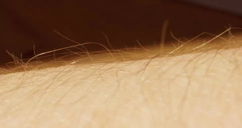 Hand skin texture hair close-up. Arm sur... | Stock Video | Pond5
