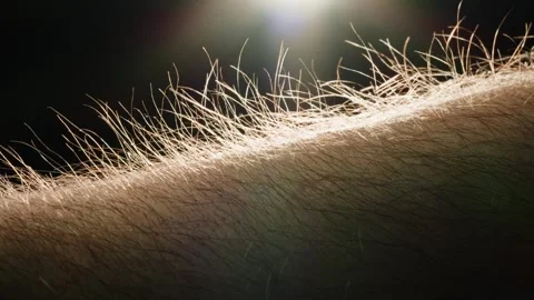 Hand skin texture hair goosebumps close-... | Stock Video | Pond5