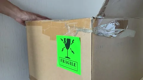 This Way Please Stock Videos – Royalty-Free HD & 4K Videos