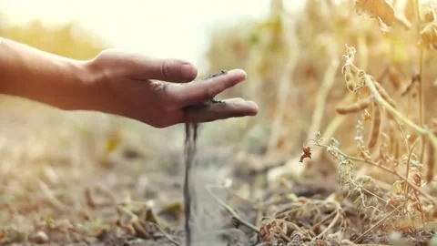 Hand Touching Dry Ground. Man Hands Hold... | Stock Video | Pond5