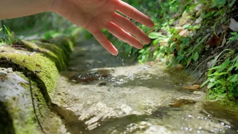 Hand touching flowing stream water. | Stock Video | Pond5