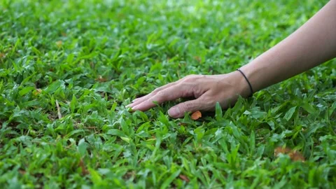 Hand touching grass at garden. 4k resol... | Stock Video | Pond5