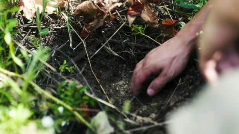 Hand touching the soil ground with leave... | Stock Video | Pond5