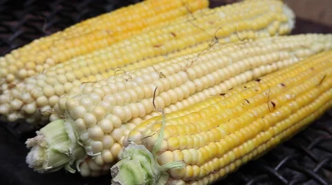 Bbq Corn Stock Videos – Royalty-Free HD & 4K Videos | Page 3