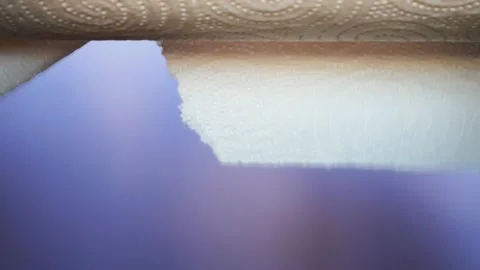 Reel Toilet Roll Stock Videos – Royalty-Free HD & 4K Videos | Pond5