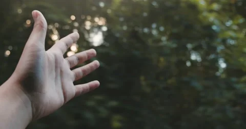 Hand Out Car Window Stock Videos – Royalty-Free HD & 4K Videos | Pond5