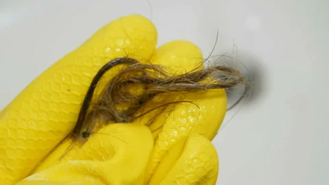 Hair Filter Shower Stock Videos – Royalty-Free HD & 4K Videos