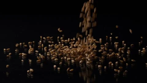 A handful of wheat grains falling / drop... | Stock Video | Pond5