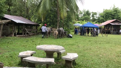 handheld wide pan shot of an outdoor fil... | Stock Video | Pond5