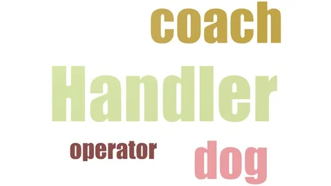 Handler Word Cloud Animated Isolated On ... | Stock Video | Pond5