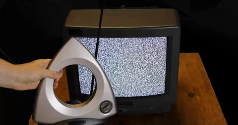 Rabbit Adjusting Stock Footage ~ Royalty Free Stock Videos | Pond5