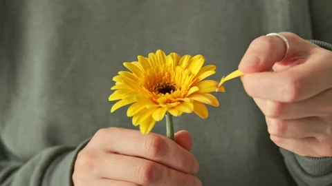 Hand Plucking Flower Stock Footage ~ Royalty Free Stock Videos | Pond5