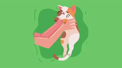 hands lifting little cat animation | Stock Video | Pond5