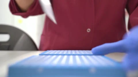 Who Tube Stock Videos – Royalty-Free HD & 4K Videos